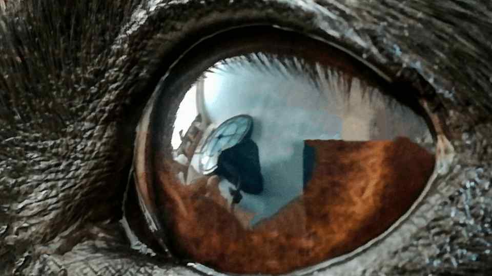 The “bulging eye” – workup and treatment of patients with traumatic ...